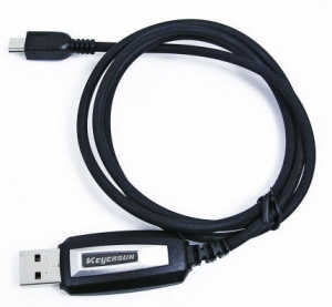 Software & Programming Leads